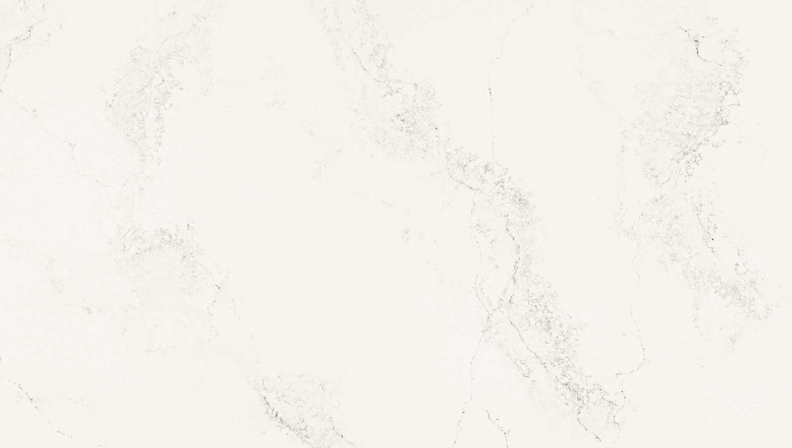 Caesarstone CSF | Buildup Building Supplies